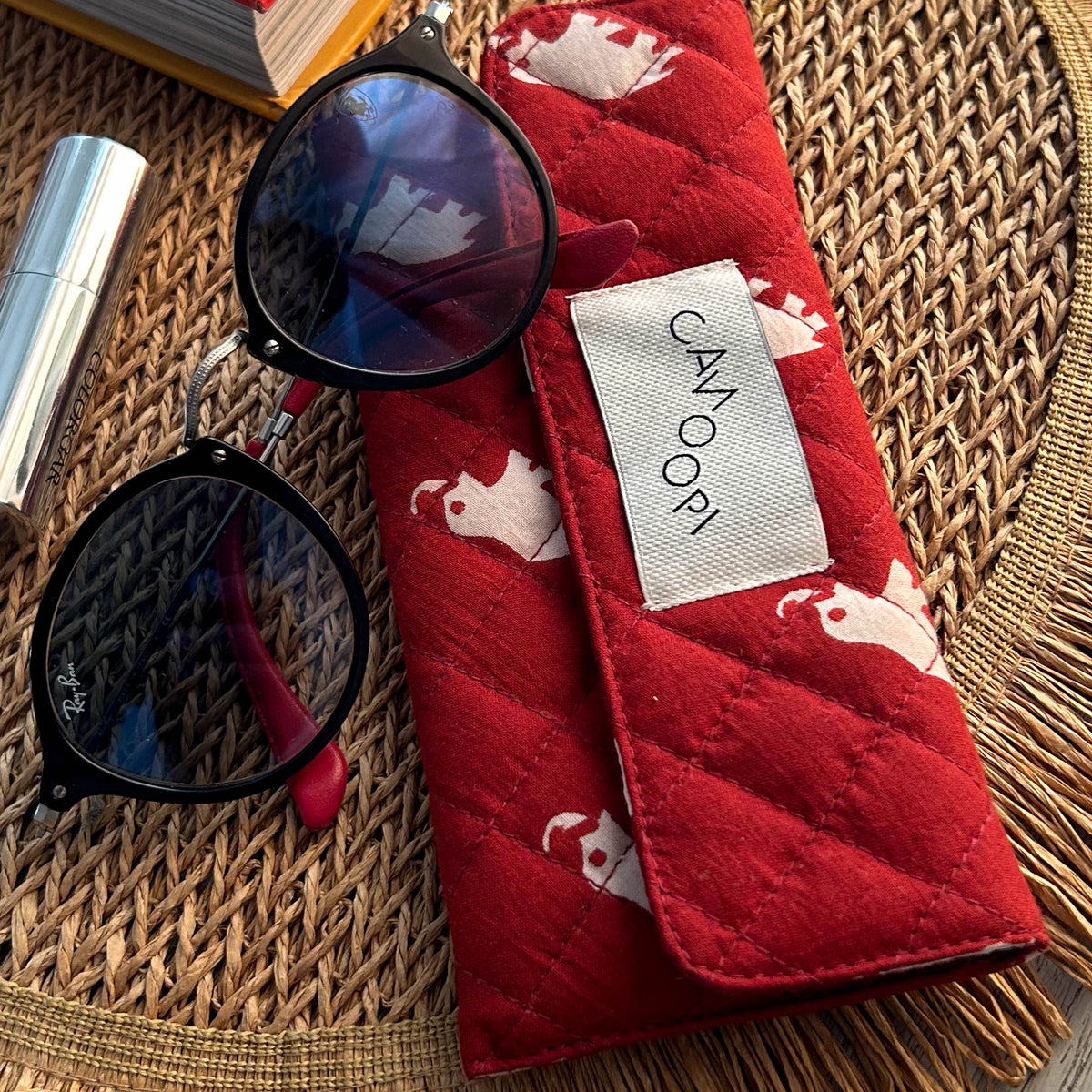 Sunglasses Cover: Perfect Gifting Option – Canoopi